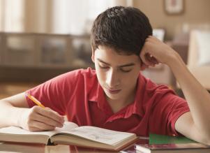 Did They Get It?: Classroom Ideas to Simultaneously Support and Assess ...